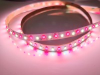 LED Streifen kaufen – flexibel, dimmbar & Made in Germany | LED-Emotion
